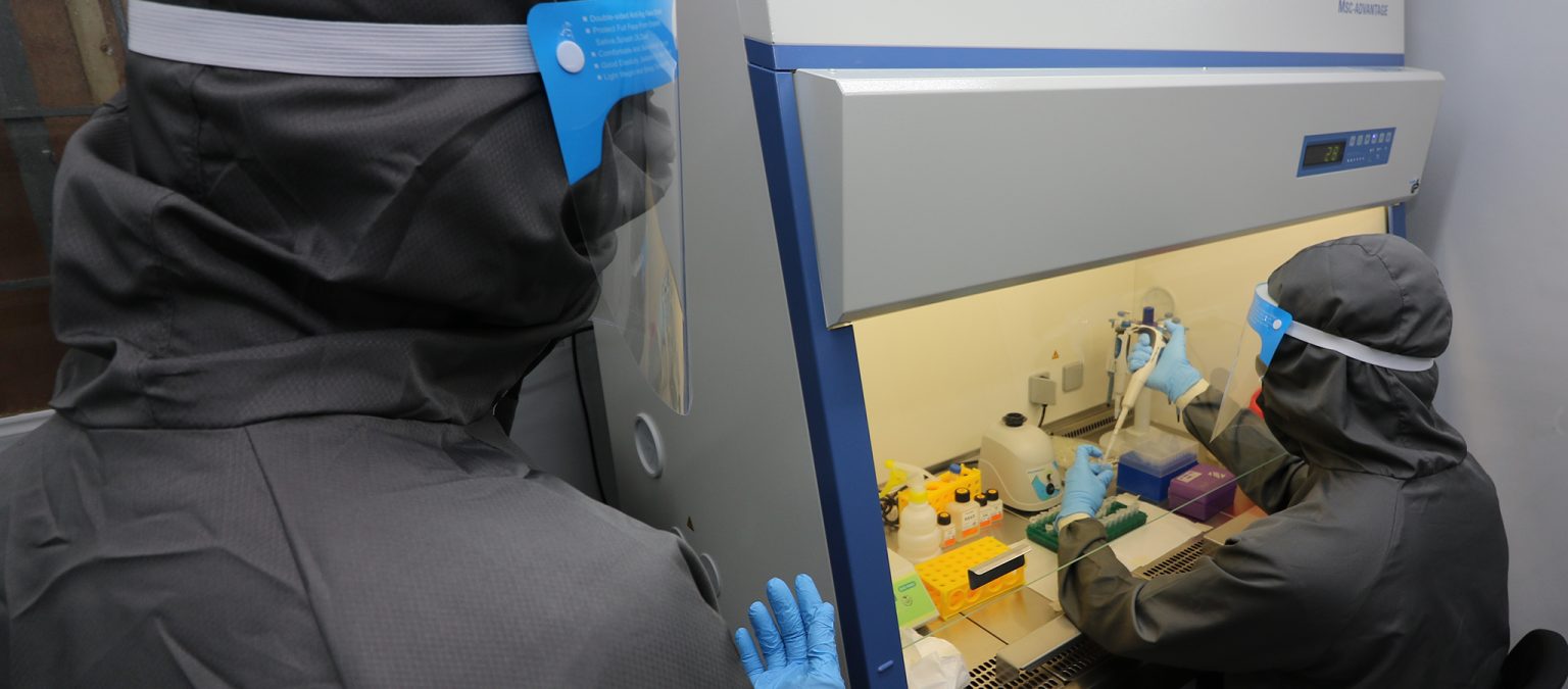 UPLB and the evolving biosafety policy in the country – Padayon UP ...