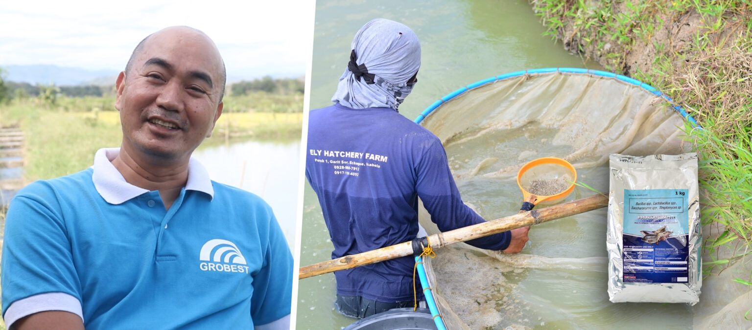 UPLB-BIOTECH’s Probiotics for Aquaculture are a fish farmer’s best ...