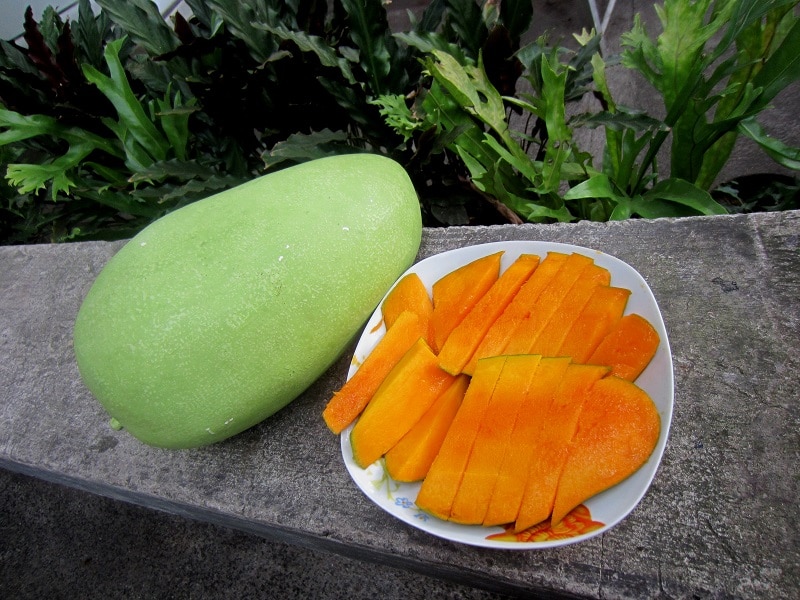 9 new varieties that will strengthen the Philippine mango industry – UP ...